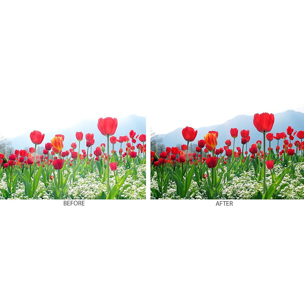 77mm Pro series Multi-Coated High Resolution Digital Ultraviolet Filter