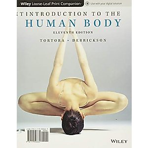 Introduction to the Human Body