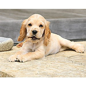 Pawstruck "7-9" Beef Tendon Chews for Dog (10 Sticks) Pet Food, Natural Beef Strap Odorless Treats, Cleans Teeth, Free-Range, Grass-Fed Beef, Free of Artificial Ingredients and Flavors, 1 Pound