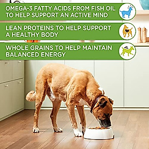 Rachael Ray Nutrish Chunks in Gravy Wet Dog Food Real Chicken & Veggies Recipe, 13 Ounce (Pack of 12)