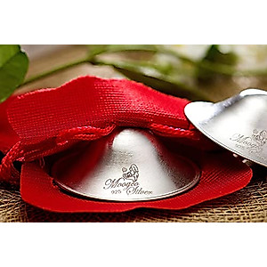 The Original Silver Nursing Cups - Nipple Shields for Nursing Newborn - Newborn Essentials Must Haves - Nipple Covers Breastfeeding - 925 Silver (2 Count (Pack of 1))