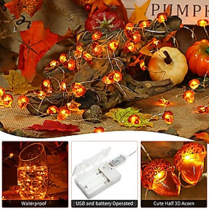 Mudder Acorn Valentine's Day Heart String Lights Decor 16.4FT 50 LEDs Heart Fairy Light Battery and USB Powered with Remote for Indoor Outdoor Wedding Party(Acorn,White)