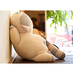 Lazada Cat Kids Pillow Plush Pillows Soft Kitty Pillow Stuffed Gifts for Toddlers 22"