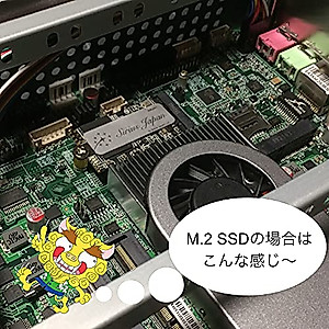 Sirius DSDPN-256G SSD 256GB PCIe NVMe