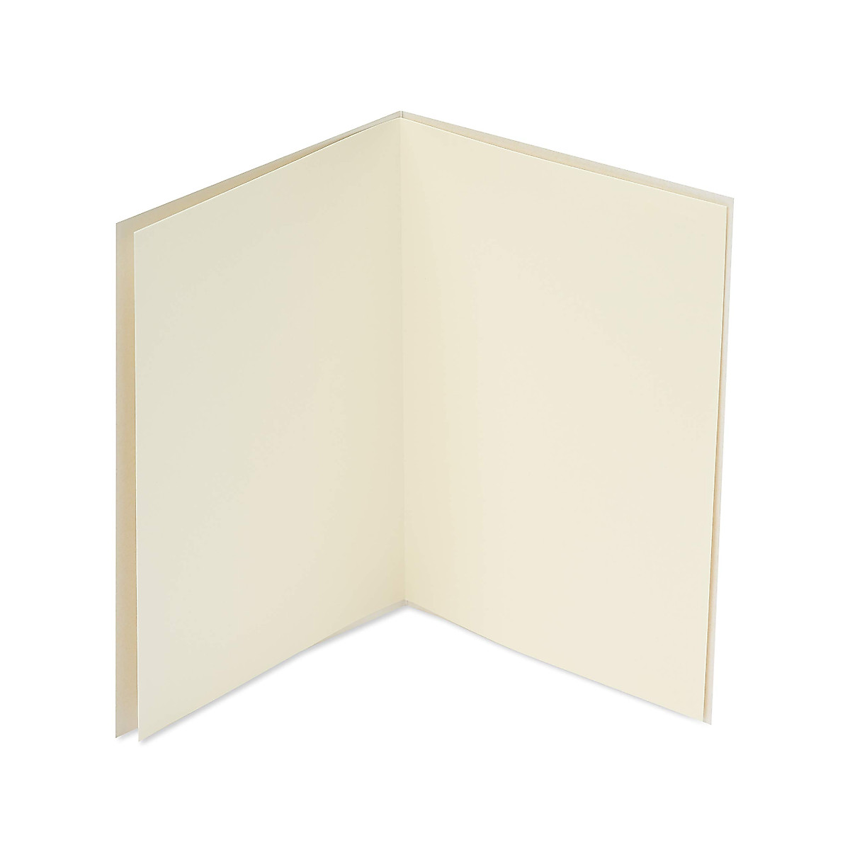 Papyrus Blank Card (With Love Flowers)