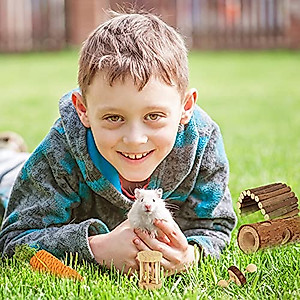 Sofier Hamster Toys Hamster Accessories for Cage Natural Guinea Pig Toys and Chews for Teeth Rat Toys Chinchilla Toys Wood Hamster Hideout Hamster Bridge Apple Wood Sticks