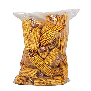 JCs Wildlife Dried Squirrel Corn Bag - Each Bag Weighs About 14 lbs - Great for Squirrels, Chipmunks, Deer and Other Backyard Critters - Grown in Indiana (1)
