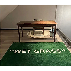 Carpet Wet Grass Rug Carpet Living Room Decoration Carpet Bedroom Bedside Bay Window Area Rugs Sofa Floor Mat Rugs (23.62 in x 35.43 in)