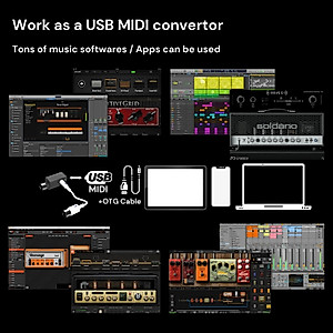 Paint Audio MIDI Captain Foot Controller and Wireless MIDI Adapter-MIDI Mate Time Engine Function Support all PC/CC/Note commander 10 Foot Switches