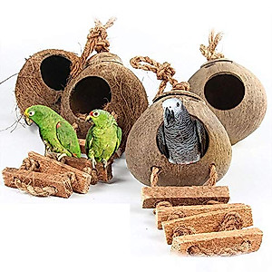 Hanging Bird House with Ladder,Natural Coconut Fiber Shell Bird Nest Breeding for Parrot Parakeet Lovebird Finch Canary,Coconut Hide Bird Swing Toys for Hamster,Bird Cage Accessories,Pet Bird Supplies