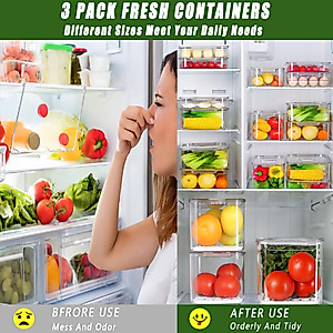 REFSAVER Fridge Storage Containers Produce Saver Stackable Refrigerator Organizer Bins with Removable Drain Tray Fridge Organizer for Fruits and Vegetables 3 Pack