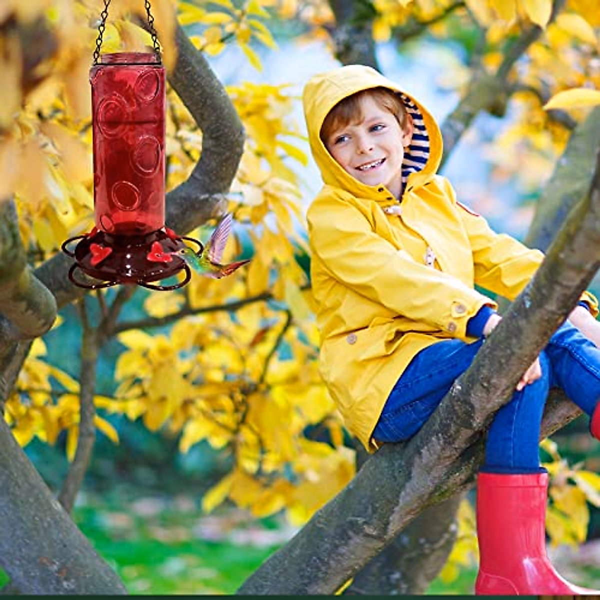 Urban Deco Large Capacity Hummingbird Feeders for Outdoors Hanging Wild ...