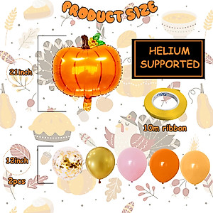 Fall Balloons for 1st Birthday, 40 Inch Pink One Balloon for First Birthday, Pumpkin Balloon, Maple Leaves Nut Foil Helium Balloons, Pink 1 Balloon for 1st Birthday, Fall Birthday Party Decorations