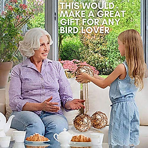 YYK Set of 3 Globe Hummingbird Nesters - Bird Nesting Material Holder – Nest Balls for Wild Birds Wrens Finches - Refillable Outdoor Bird Nesting Station to Build a Nest