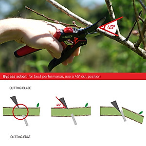 Eden Professional Sharp Bypass Pruning Shears, Tree Trimmers Secateurs,Hand Pruner, Garden Shears,Clippers For Garden, Bonsai Cutters (Model# 39001)