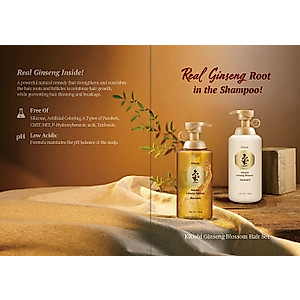 Daeng Gi Meo Ri - Ki Gold Ginseng Blossom Treatment, No Silicone, For Glossy and Elastic Hair, Deeply Hydrating and Moisturizing, 710ml