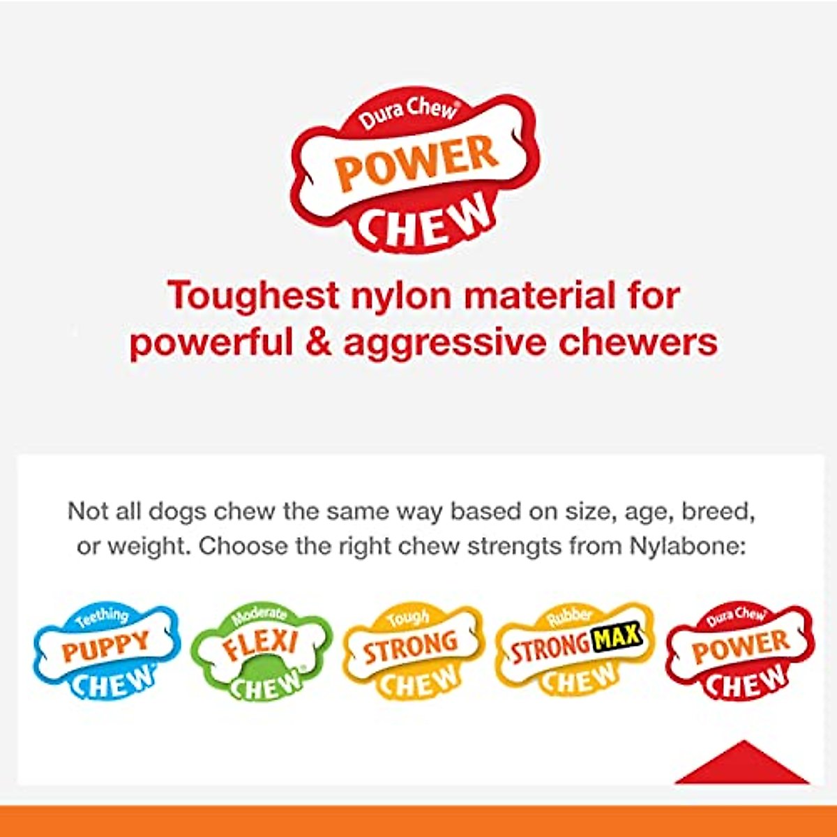 Nylabone Dura Chew Power Chew Textured Bone Flavor Medley Small/Regular (1 Count)