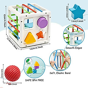 AiTuiTui Baby Montessori Toys for 1 Year Old Boy Girl Gifts, Shape Sorter Sensory Bin 6 12 18 Months Toys, Toddler Travel Fine Motor Skill Activity Learning Toys for Baby 1st Birthday