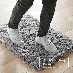 Ophanie Small Area Rug, 2x3 Machine Washable Throw Grey Cheap Fluffy Shaggy Soft Bedside Rug, Indoor Floor Gray Carpet for Kids Baby Boys Teen Dorm Room Doorway, Nursery,Home Decor Aesthetic