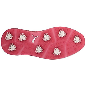 PUMA Golf Men's Ignite Articulate Volition Golf Shoe, Puma White-Puma Silver-Ski Patrol, 10.5