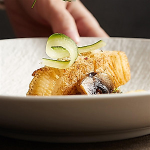 Dinner Plates Set Fruit Tray Household Deep Plate Ceramic Salad Bowl Soup Plate White Rock Dish Household Kitchen Restaurant Plate Round Frosted Dining Plate Kitchen Salad Bowl (Color : B, Size : 8.