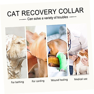 POPETPOP Elizabeth Circle Kitten Collars Adjustable Puppy Collars for Litter Dog Collars for Puppies Cat Recovery Collar Cat Recovery Neck Cone Cat Kitten Recovery Collar Pets Puppy Cone