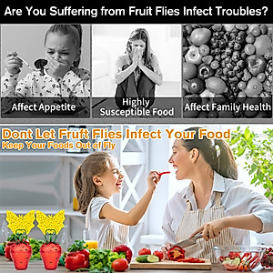 Fruit Fly Traps for Indoors,Effective Fly Catcher Gnat Traps for House with Yellow Sticky Traps,Fruit Fly Trap with Sticker with Bait Safe Non-Toxic Reusable Fly Trap for Home, Plant, Kitchen