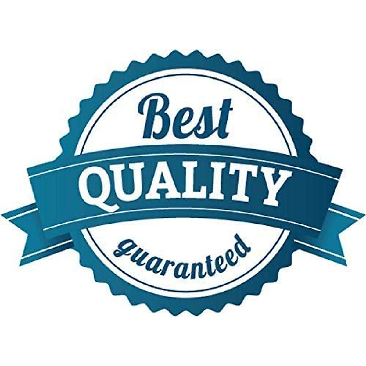 S.V. CREATIONS Sumptuous Slumber: Egyptian Cotton White Duvet Cover Set for Twin Beds with Zipper Closer (1000-TC)