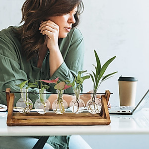 Plant Terrarium, Plant Propagation Stations with Wooden Stand, Gift for Women, Office Decoration - 5 Bulb Vase