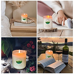 Citronella Candles Outdoor Indoor 7.5 OZ 4 Pack, 100% Soy Wax Candles for Home Scented Candles Outside for Party Hiking Camping Patio BBQ Deck Lanai Garden Yard Home Balcony