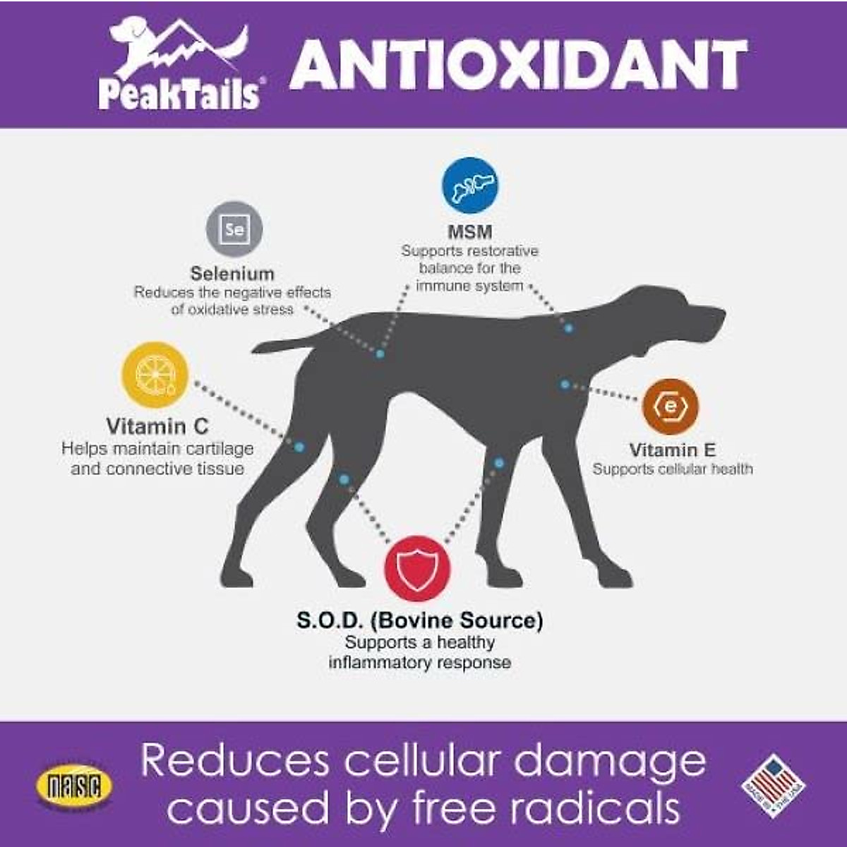 PeakTails Daily Defense Antioxidant Supplement for Dogs, Immune Support, Anti Itch & Skin Allergies, Contains MSM, Superoxide Dismutase, Selenium and Vitamin C & E, 350 Chewable Tablets, 350 Count