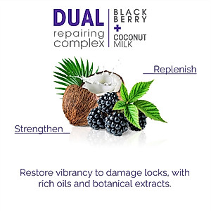 GIOVANNI 2chic Ultra-Repairing Conditioner - For Damaged, Over-Processed Hair, Helps Restore Hair's Natural Elasticity, Blackberry & Coconut Milk, Argan, Keratin, Shea Butter - 8.25 oz. Each