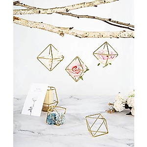 Mkono 5 Packs Air Plant Holder, Same Shape Metal Tabletop Himmeli Decor Geometric Planter Tillandsia Air Fern Display Stand with Each Side 2.6'' Long for Christma Decor Gifts for Plant Lovers, Gold