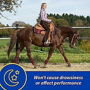 Farnam Quietex II Horse Calming Supplement Paste for Horses, Helps manage nervous behavior and keep horses calm & composed in stressful situations, 32.5 ml syringe