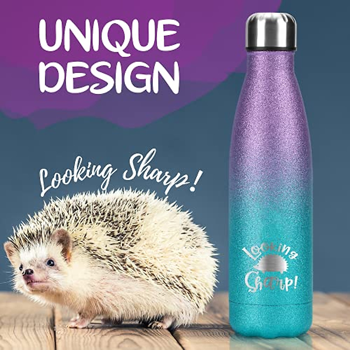Onebttl Hedgehog Gifts for Women, Girls, Looking Sharp Water Bottle for Hedgehog Lover, 17 oz (500ml) Insulated Stainless Steel Bottle, Hedgehog Gifts for Girls, Gift Box Included