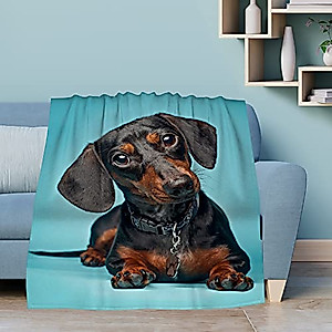 DOINBEE Dachshund Dog Blanket Dachshund Gifts Cute Black Dog Animal on Blue Throw Blankets for Men Women Fluffy Fleece Flannel Soft Cozy Sofa Chair Bed Couch Blanket Decor Travel Quilts 60"x50"