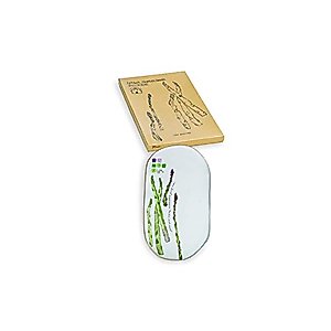 Rosanna Farm to Table One Platter in a Gift Box, 14.25 x7.85, Multi