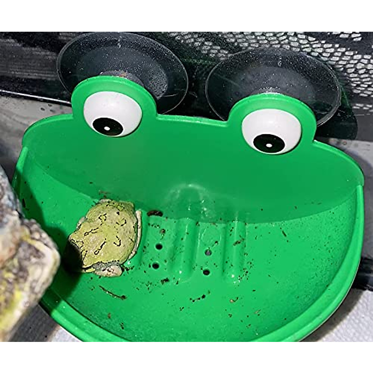 2 Pieces Frog Habitat with Dual Suction Cups Cute Fish Tank for Amphibian Aquatic Toad Frog Tadpole Tree Frog Small Aquatic Animals