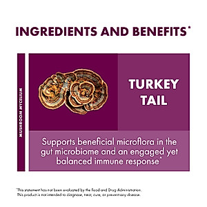Host Defense Turkey Tail Capsules - Digestive Health & Immune Response Support Supplement - Mushroom Supplement for Gastrointestinal & Gut Microbiome Support - 120 Capsules (60 Servings)*