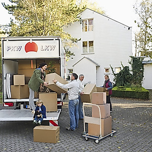 Fadidio Push Cart Dolly Dolly Cart Platform Truck Folding Foldable Flatbed Dolly Metal with Wheels Hand Trucks Platform Truck Luggage Cart Heavy Duty Rolling Tool Cart, Blue 330lbs Best Dolly Cart