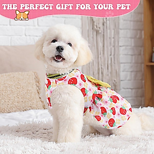 5 Pieces Dog Dresses for Small Dogs Girls Floral Puppy Dresses Pet Dog Princess Bowknot Dress Cute Doggie Summer Outfits Dog Clothes for Yorkie Female Cat Small Pets, 5 Styles (Fresh Style,Small)