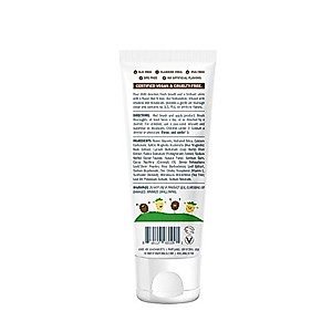 Schmidt's Schmidt's toothpaste For Oral Care Coconut + Pineapple Fluoride Free 4.7 oz, 4.7 Ounce