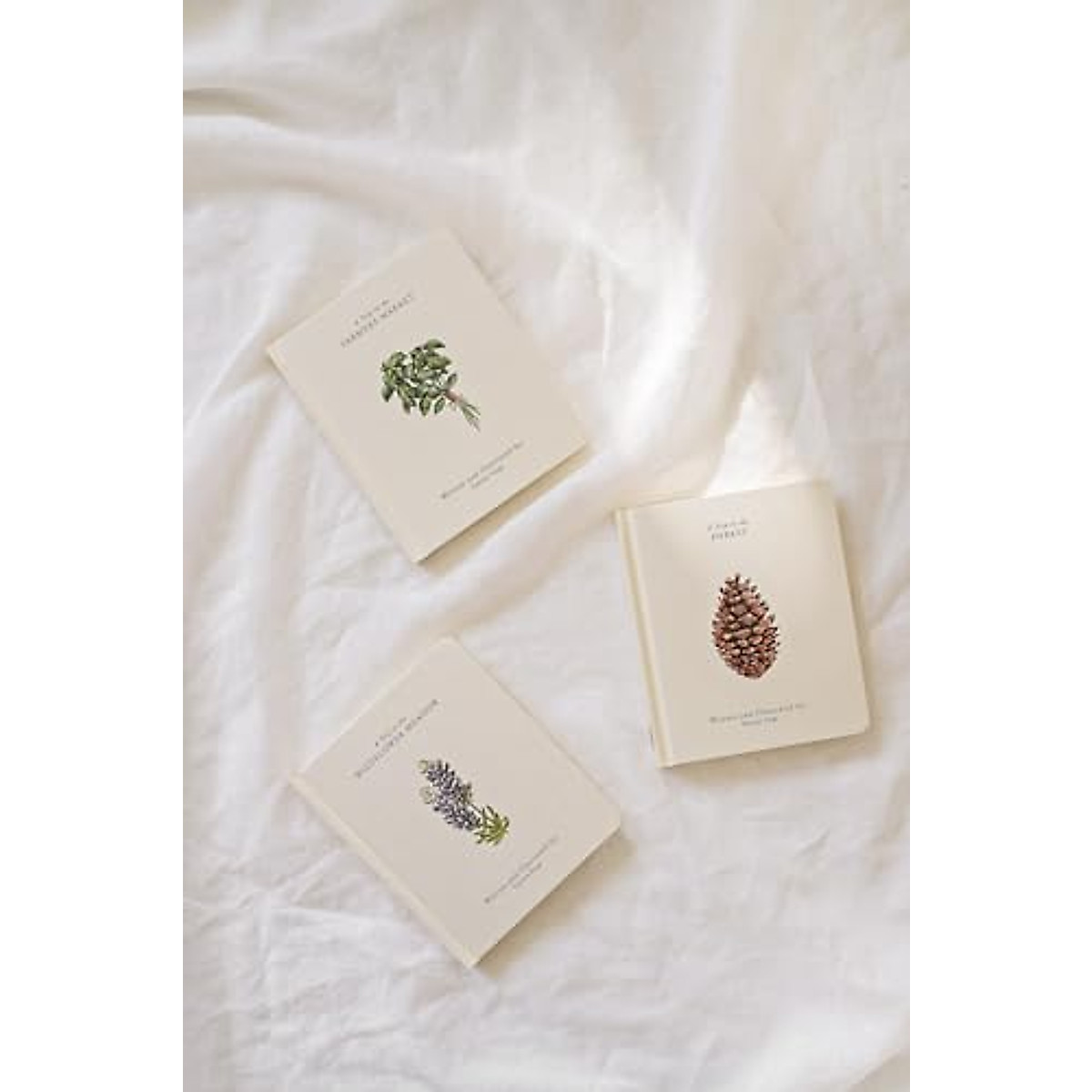 Our Little Adventures: Stories Featuring Foundational Language Concepts for Growing Minds (Our Little Adventures Series)