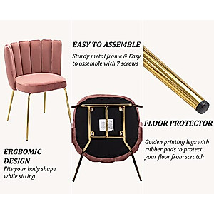 DM Furniture Velvet Dining Chairs Set of 2 Modern Accent Chair Upholstered Side Chair with Gold Metal Legs for Home Kitchen Living Room, Pink