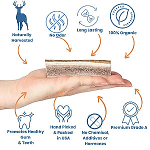 K9warehouse Split Antler for Dogs - Natural Dog Antlers for Aggressive Chewers - USA Sourced Elk Antlers for Dogs Small, Medium, Large - Healthy Elk Antlers for Teeth Cleaning & Chewing Pleasure