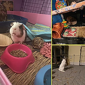 kathson Grass Mats for Rabbit,Bunny Natural Handcrafted Woven Bed Small Animal Hay Bedding Nest Rabbits Chew Toy Bedding for Guinea Pig Chinchillas Dogs Hamsters(8 PCS)