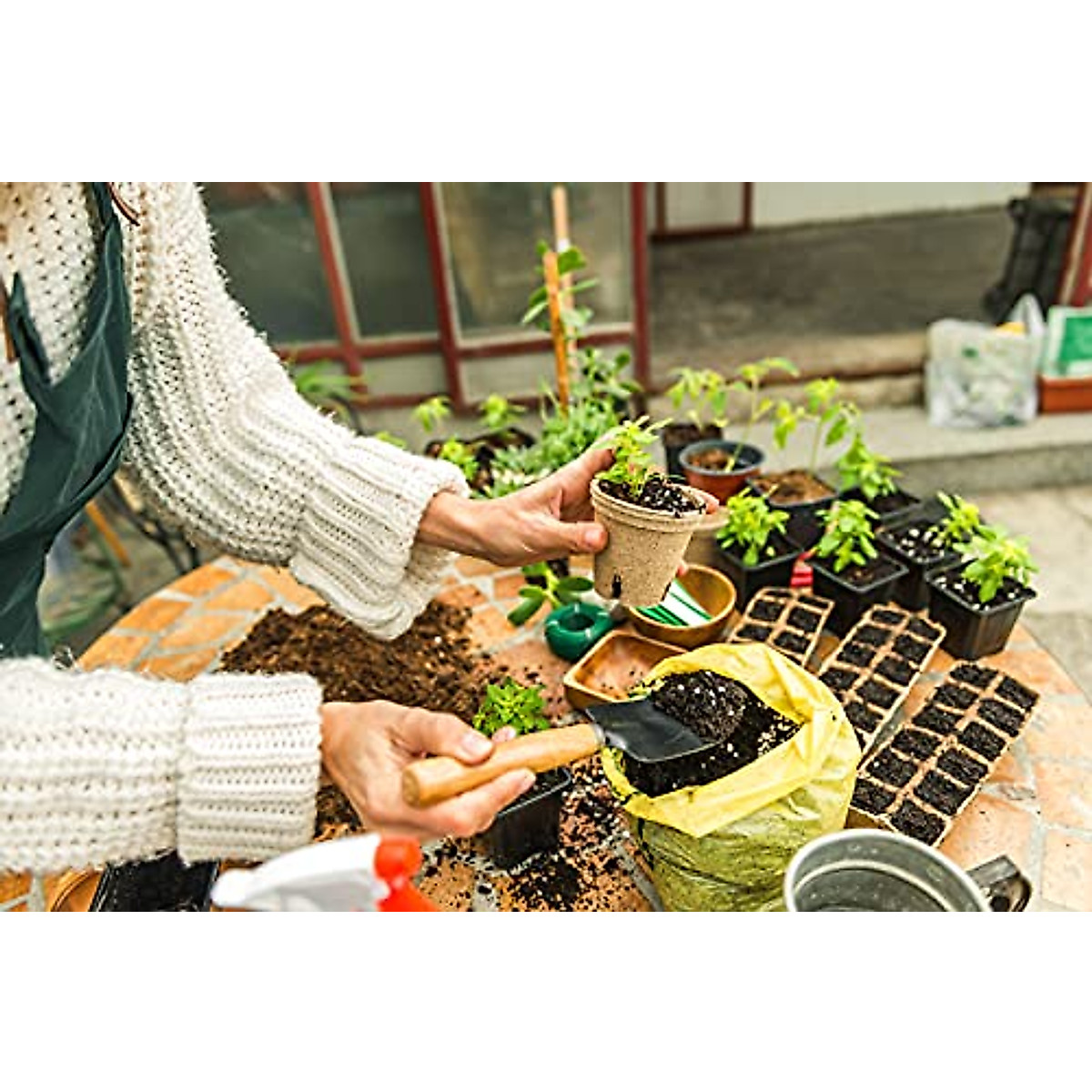 Indoor Live Herb Garden & Plant Seed Starter Kit - DIY Transplanting Kit for Beginners & Kids | Includes Seeds, Soil, Pots, Markers, Instructions, & Grinder | Parsley, Basil, Cilantro, & Chive Seeds