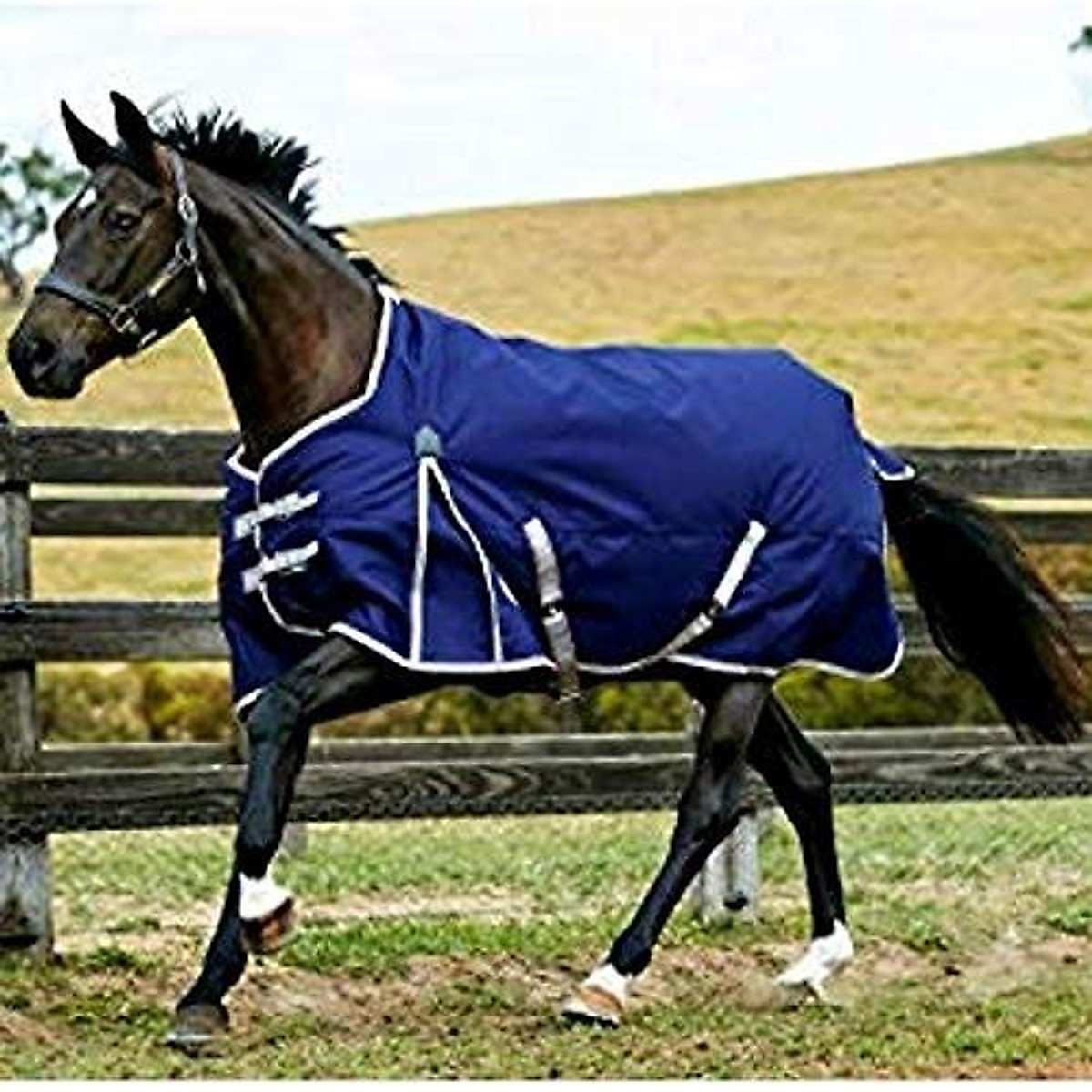 WeatherBeeta ComFiTec Classic Standard Neck Lite Horse Blanket, Red/Silver/Navy, 81"