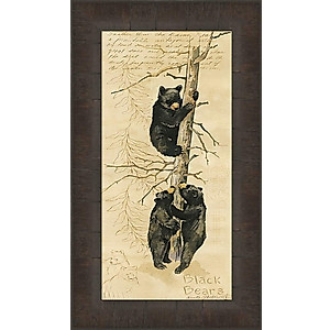 Black Bears by Anita Phillips 11x19 Bear Climbing Tree Wildlife Nature Framed Art Print Wall Décor Picture