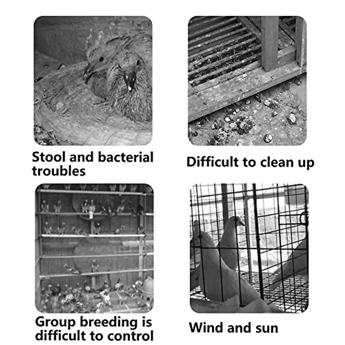 Pigeon Cage Breeding Cage for Pigeon Pairing Cage Bird Cage Pigeon Nest Box Carrier Combination Package Nest Nest Rest and Pairing